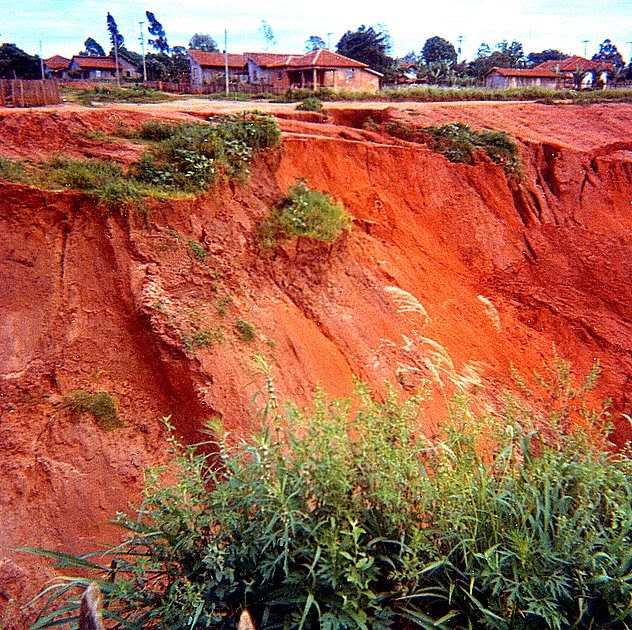 A Importância Do Solo: Erosão